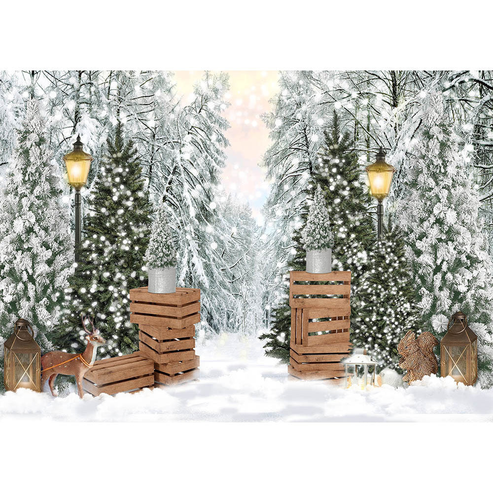 winter backdrop ideas